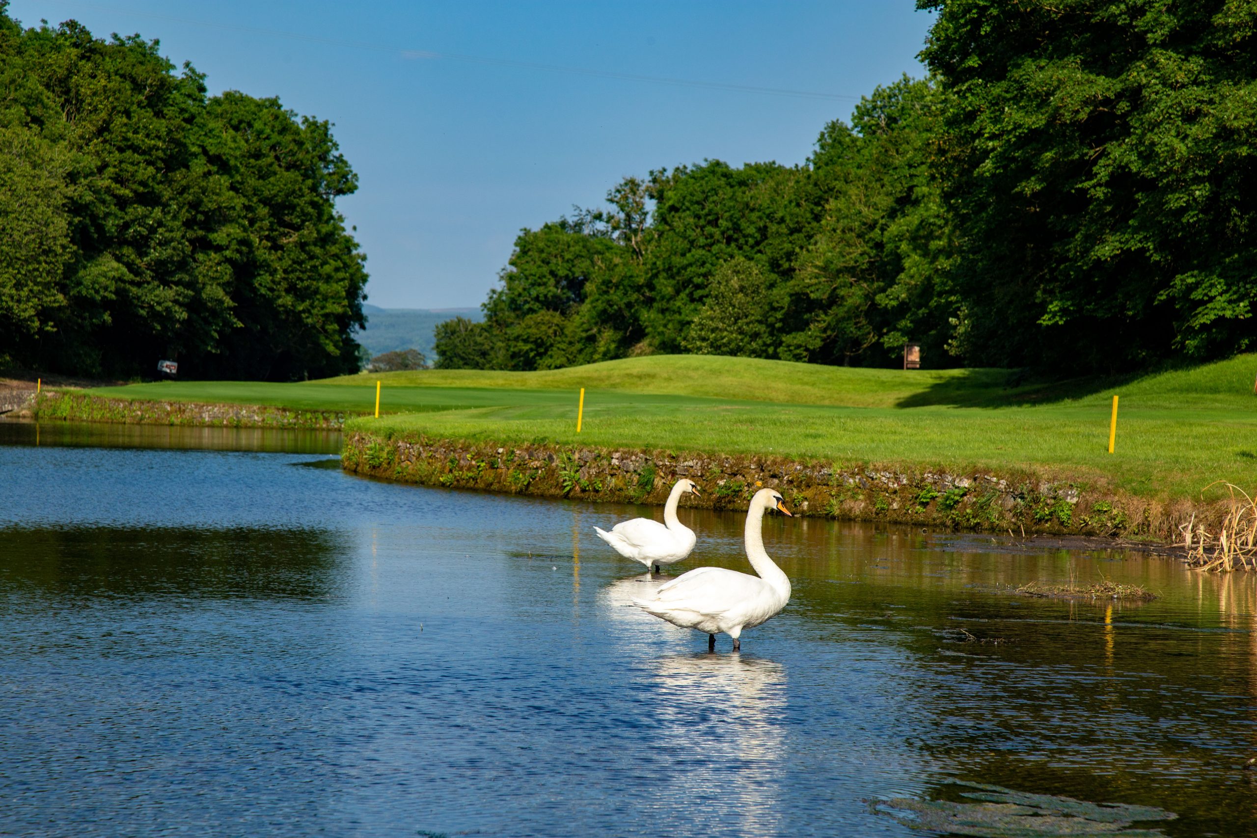 One Hour Golf Lesson at the Academy - Mount Juliet Estate